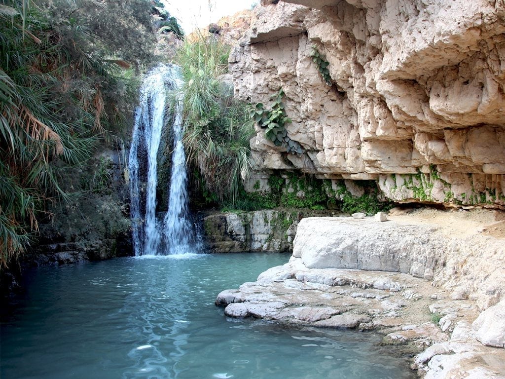 “David then went to live in the strongholds of En-gedi” (1 Samuel 23:29 ...